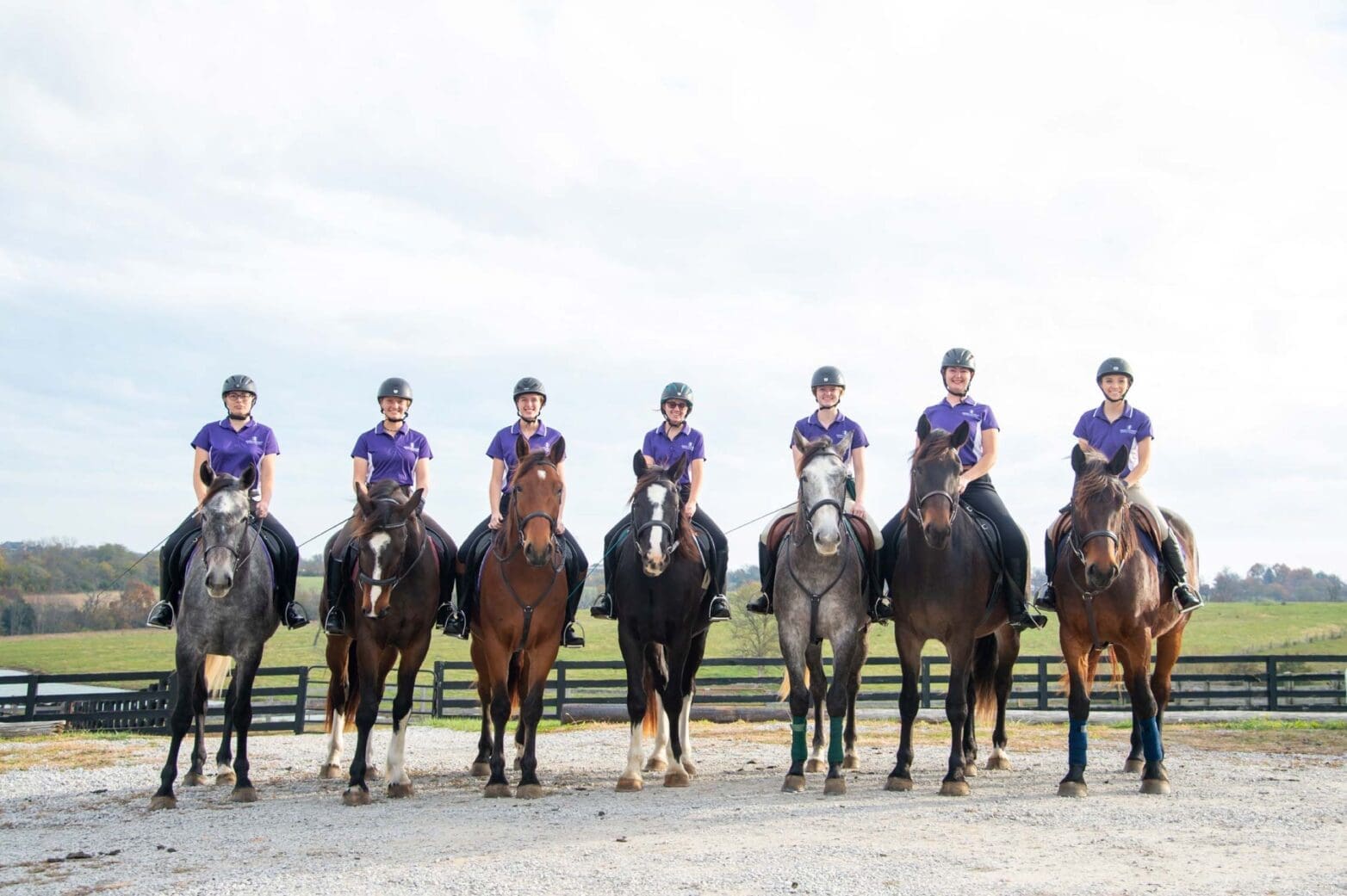 B.A. in Equine Studies Programs | Asbury University