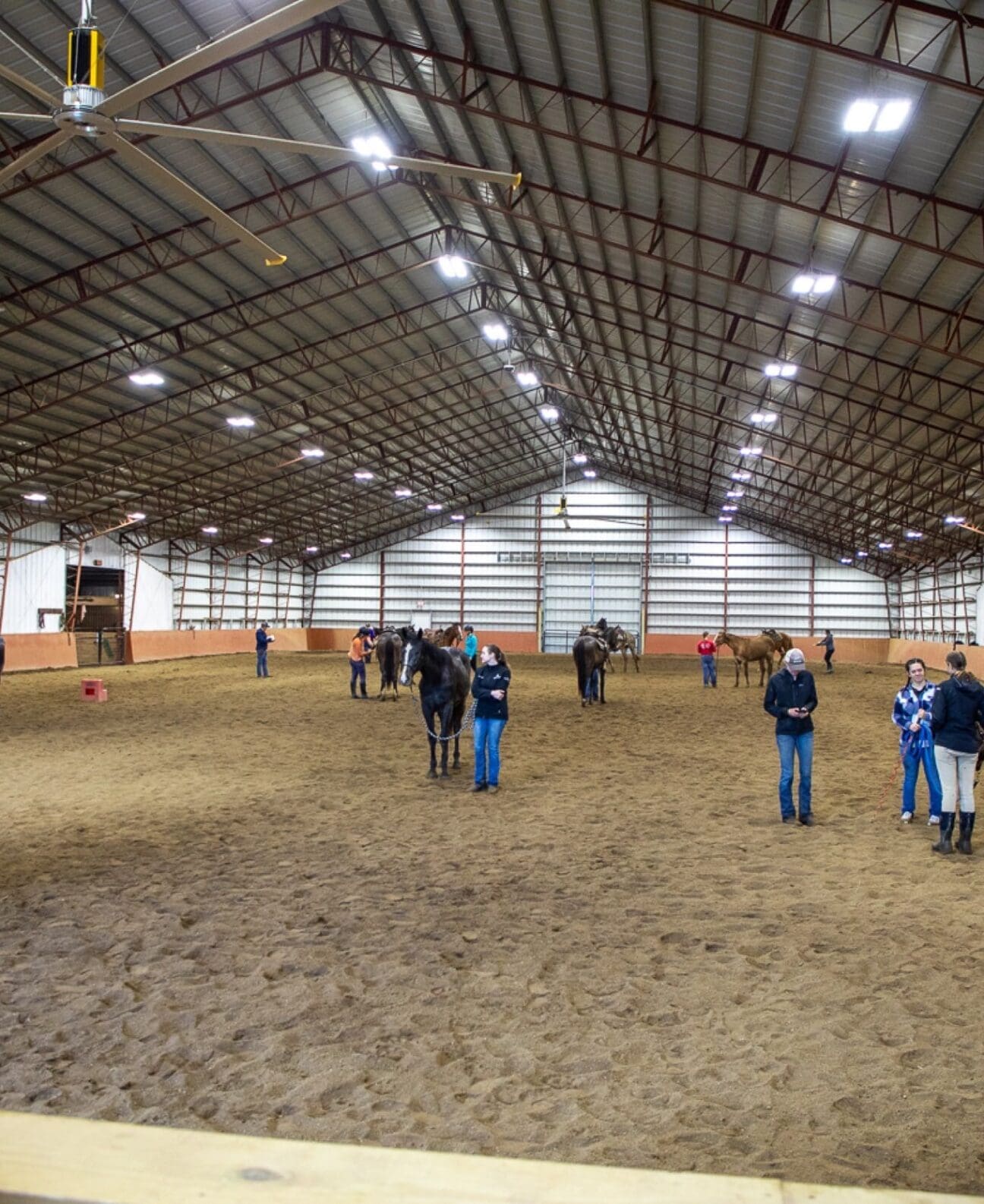 Equine Science Bachelor's Degree Program | Asbury University