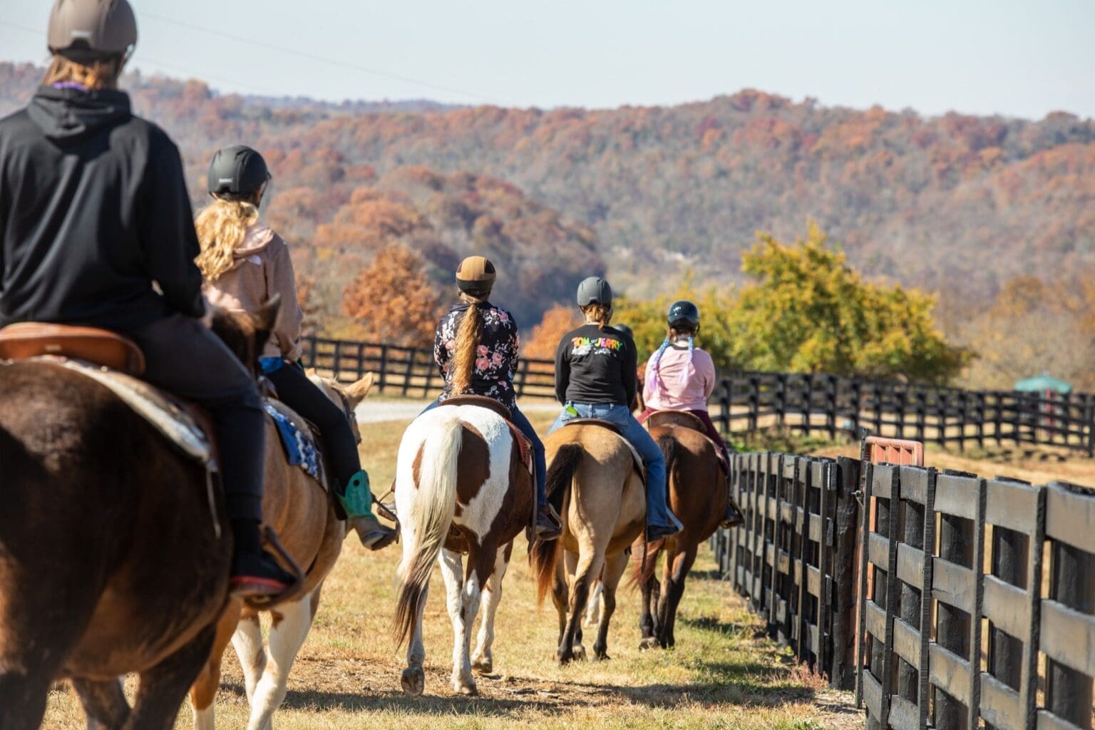 B.A. in Equine Studies Programs | Asbury University