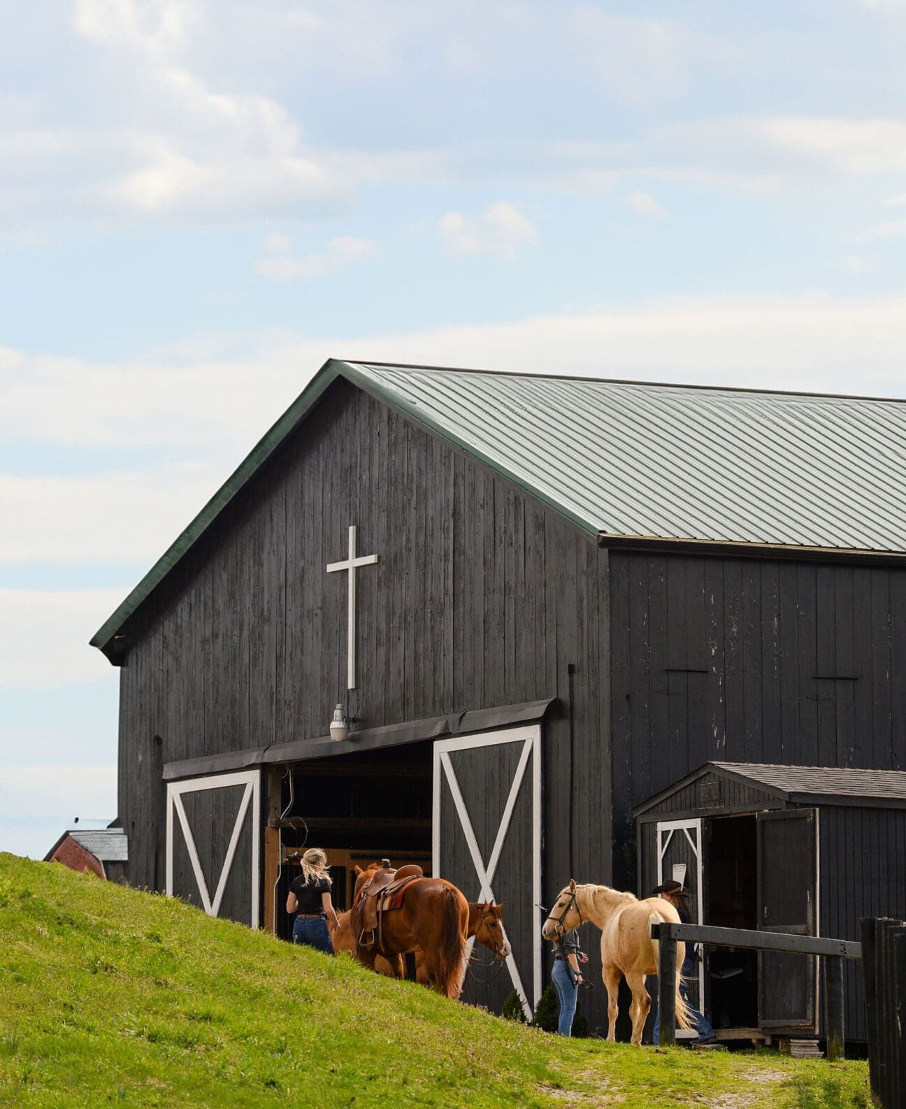 Science, Health Professions & Equine Programs | Asbury University
